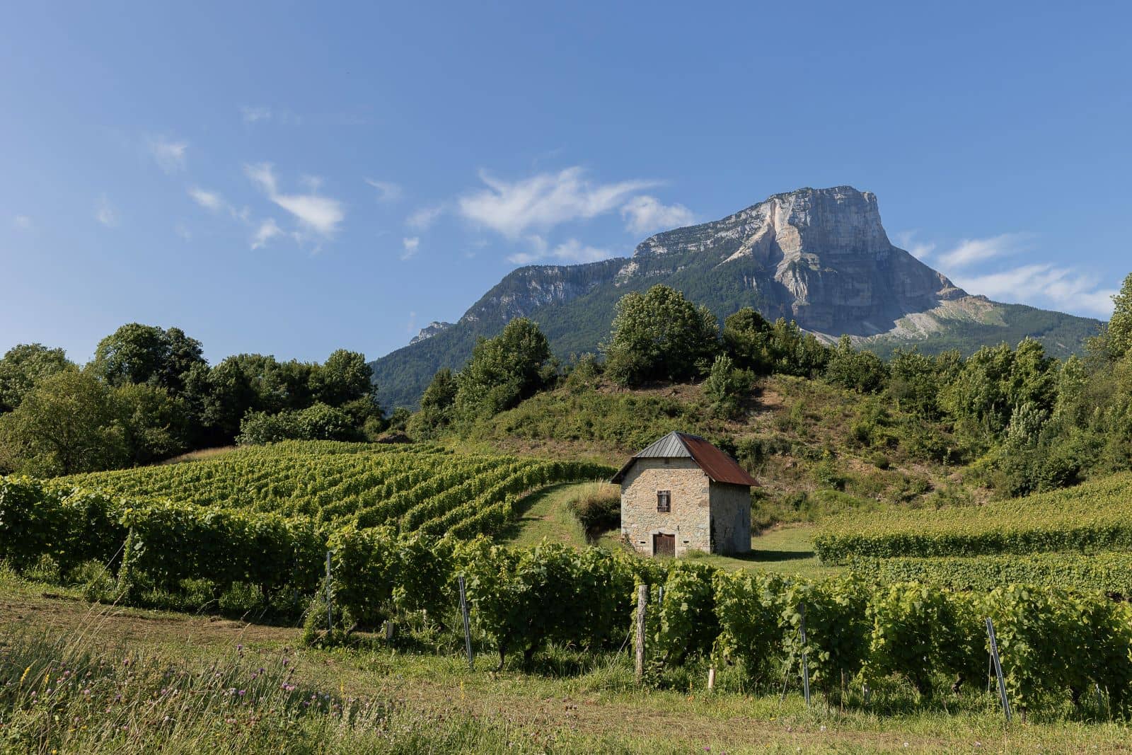 Histoire du domaine - Philippe Chapot - Un terroir d'exception